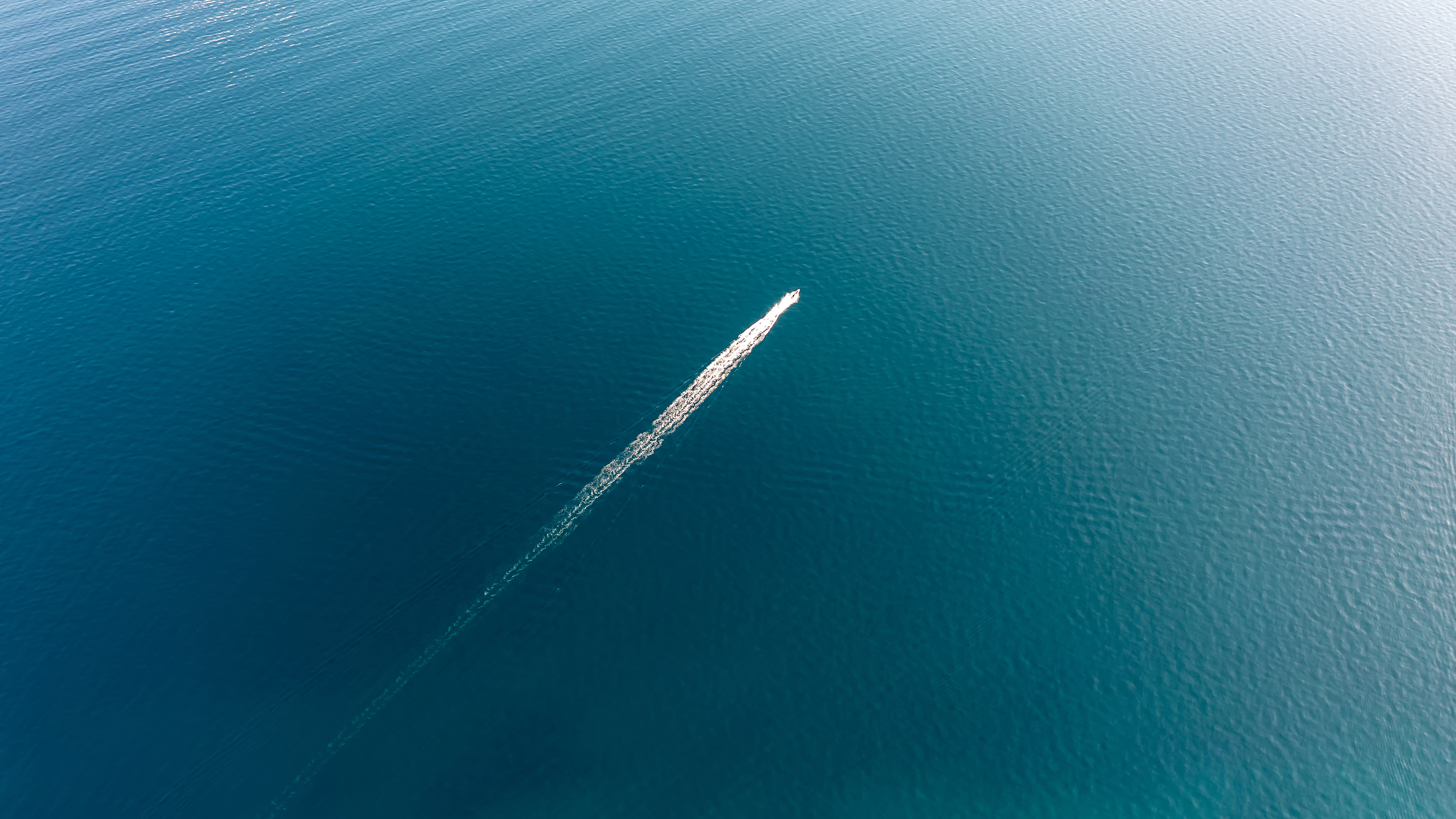 ‘Blue oceans’ can counter disruption in the payments industry - The Banker