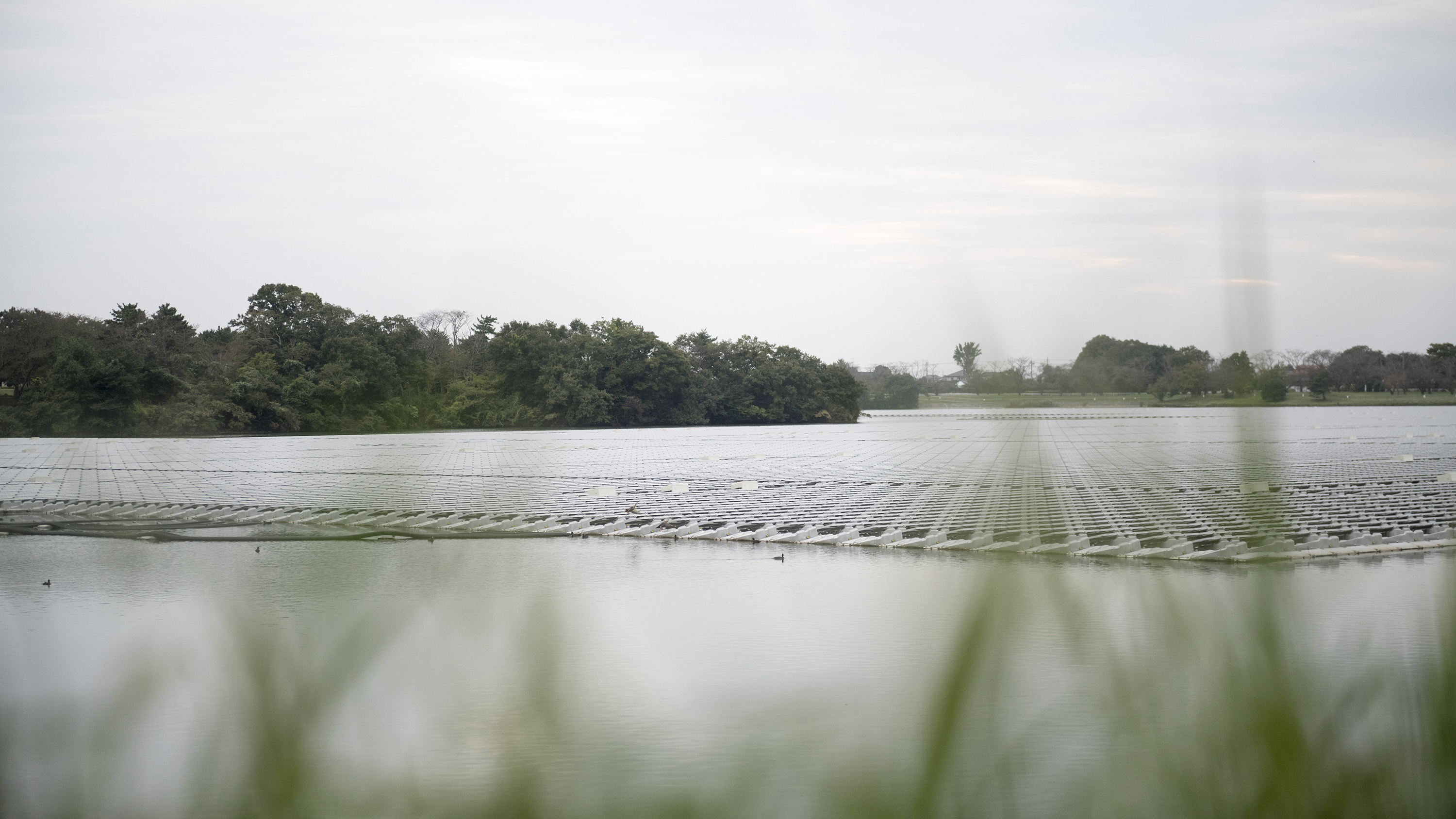 Japan’s historic climate transition bond - The Banker