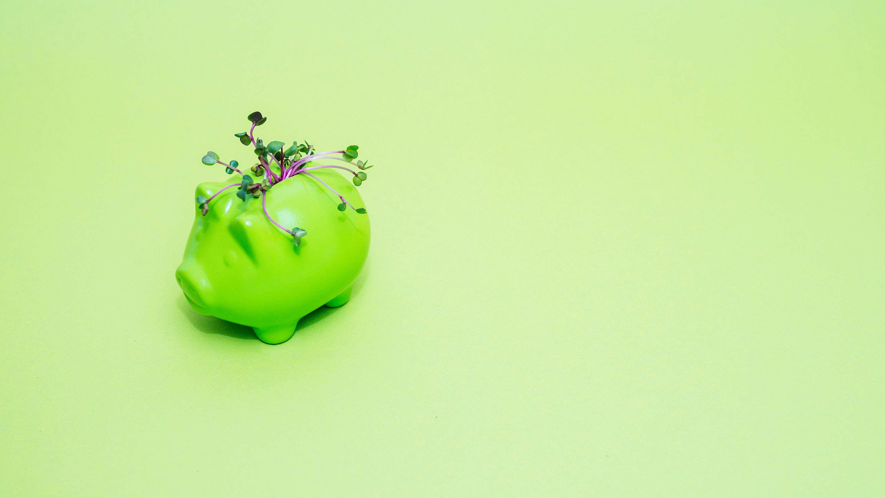 Climate finance: what is reasonable to expect from MDBs? - The Banker