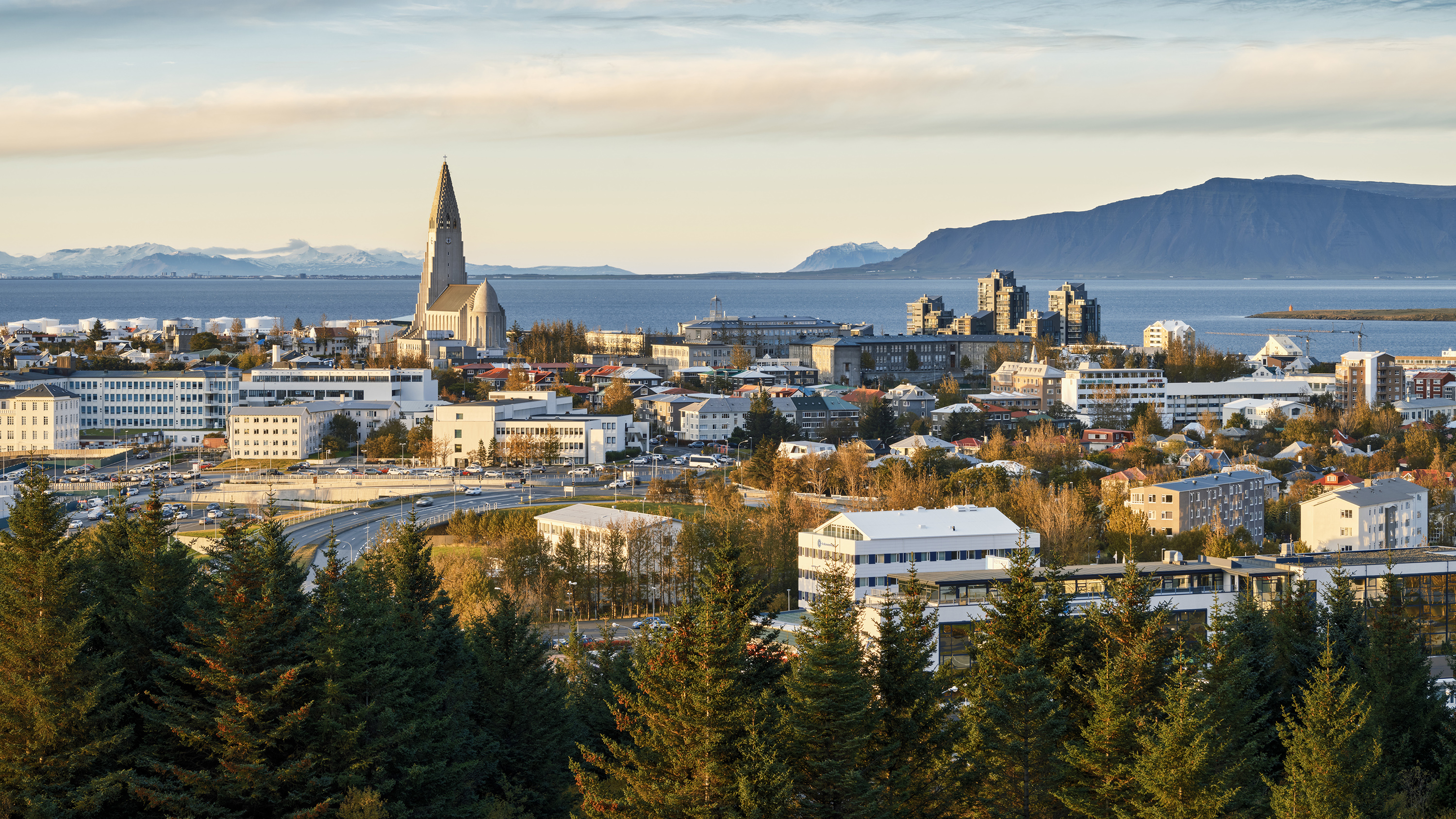 Iceland issues world-first sovereign gender bond - The Banker